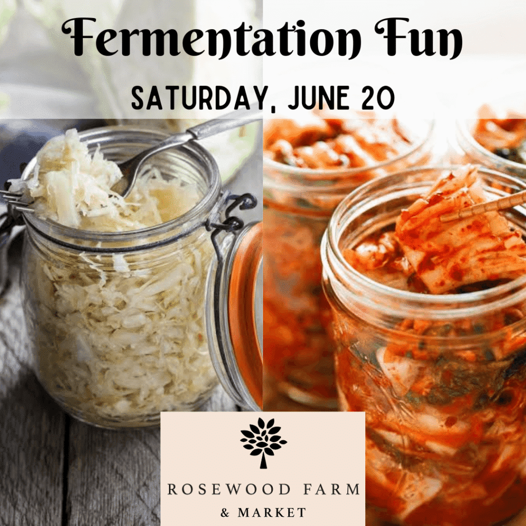 Fermentation Fun - Batavia MainStreet
